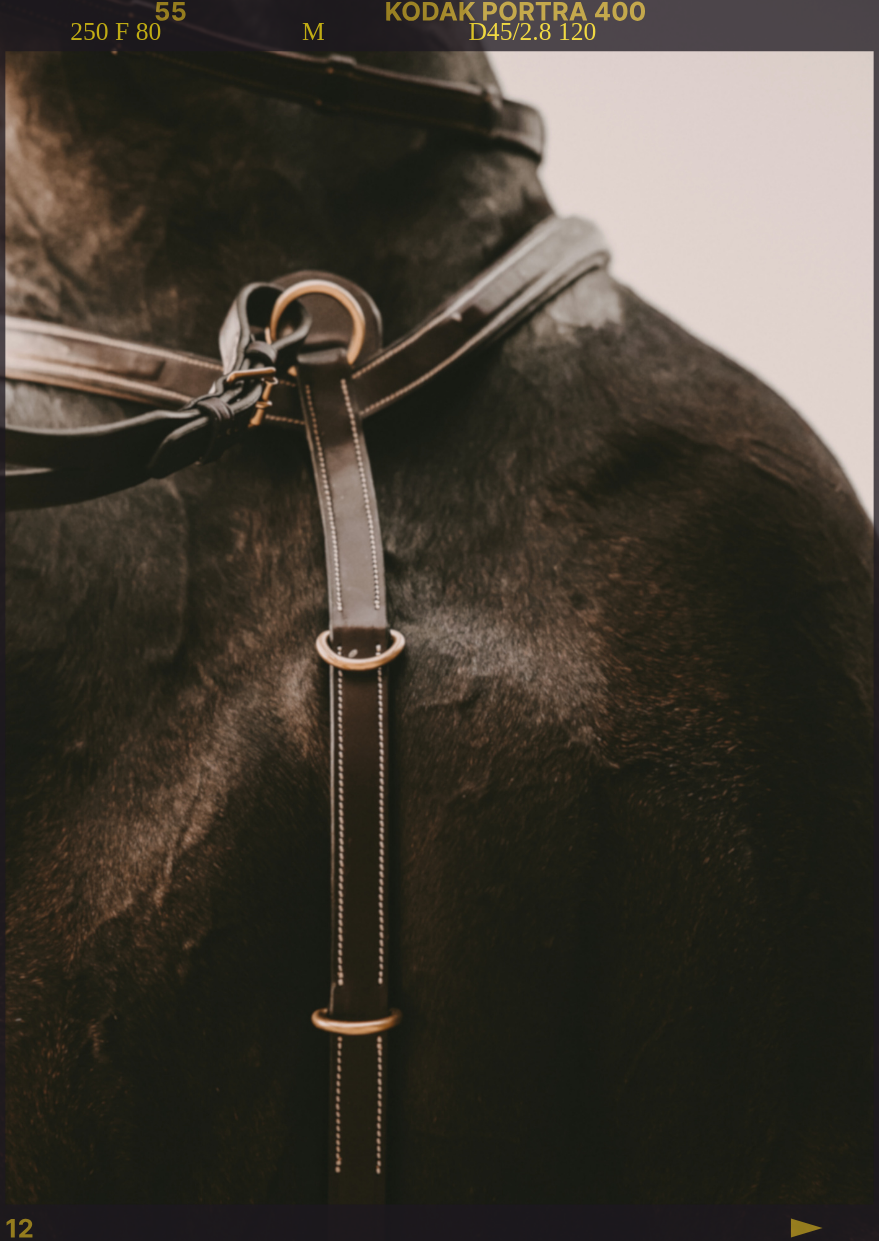 Saddlery – Page 3 – LouRi & Co.