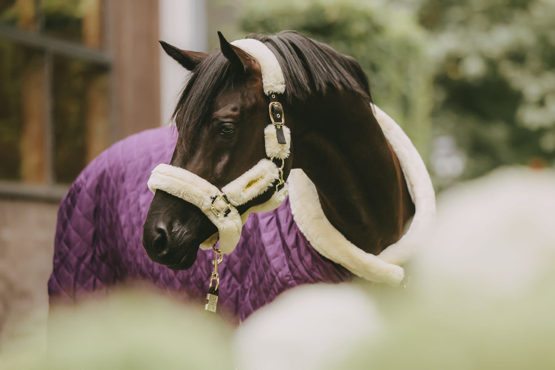 LouRi & CO. – LouRi & Co.